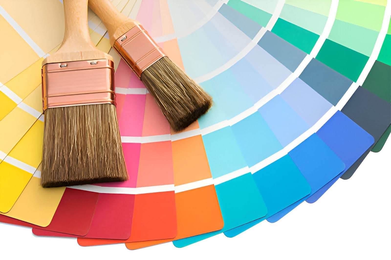 Best Interior Paints in Australia for 2024